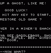 Play Lost Dutchmans Gold | Commodore Vic-20 Online Game